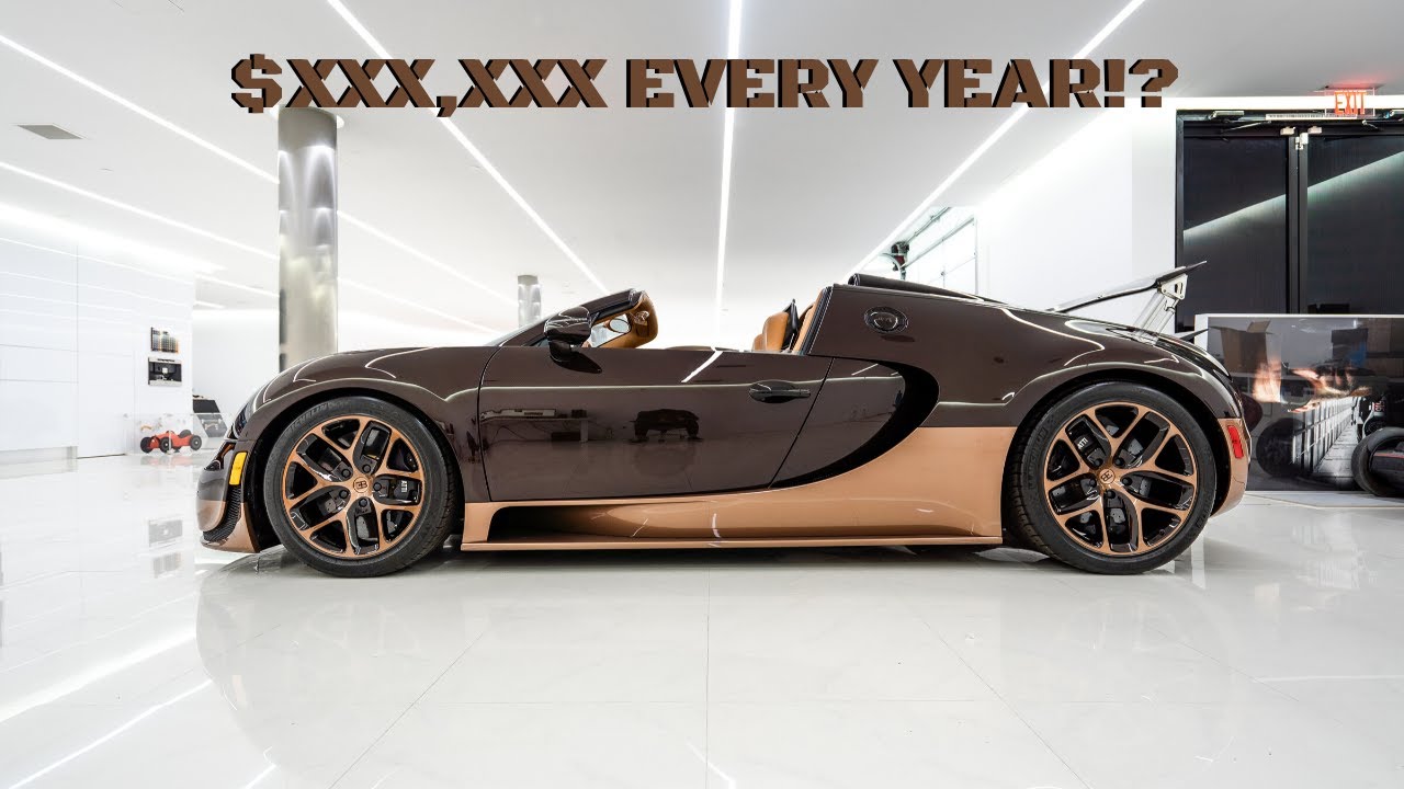 Even with a 100-liter fuel tank, the Bugatti Veyron zips through gas at ...